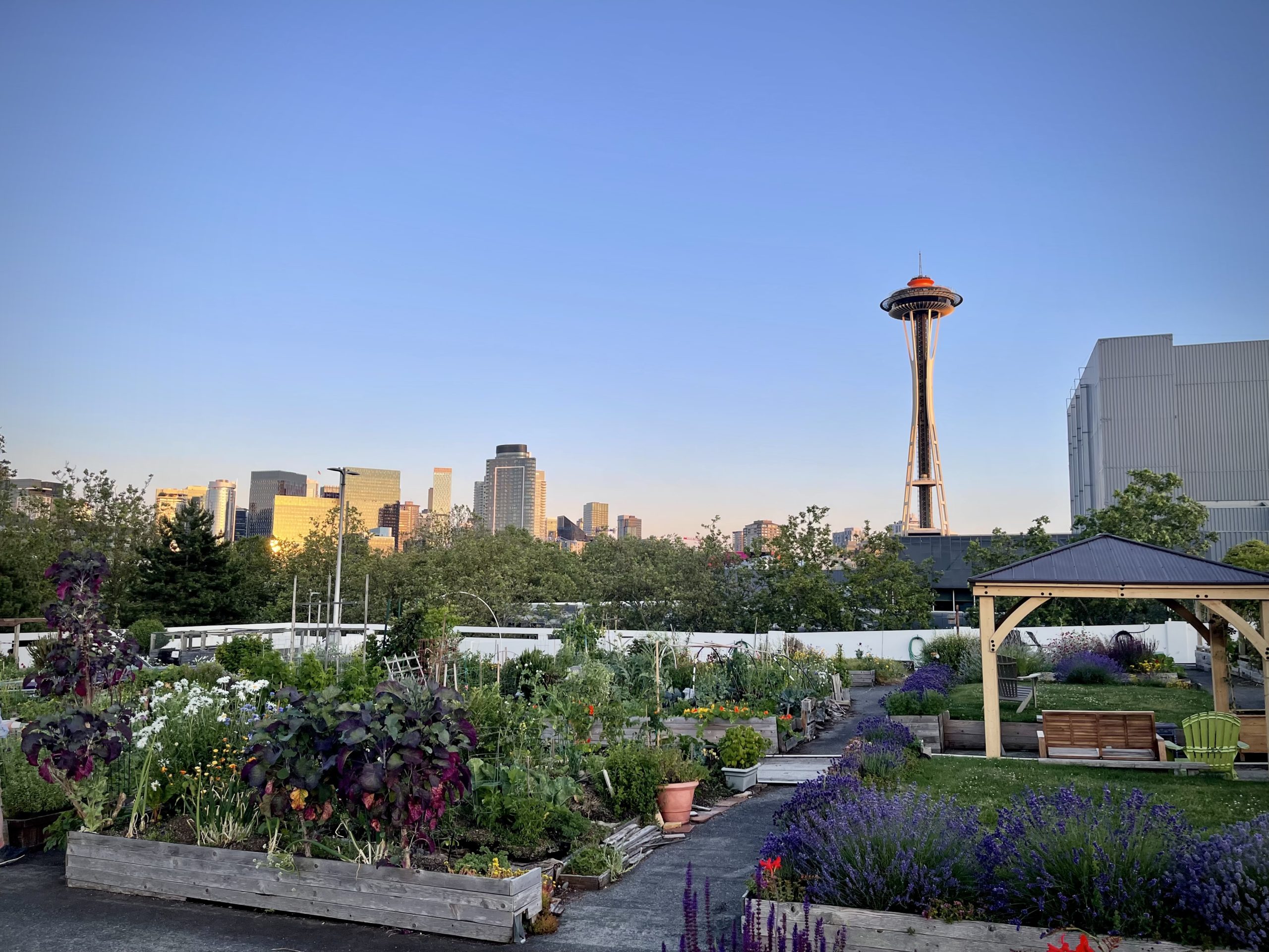 Seattle Giving Garden Network – Grow to Give